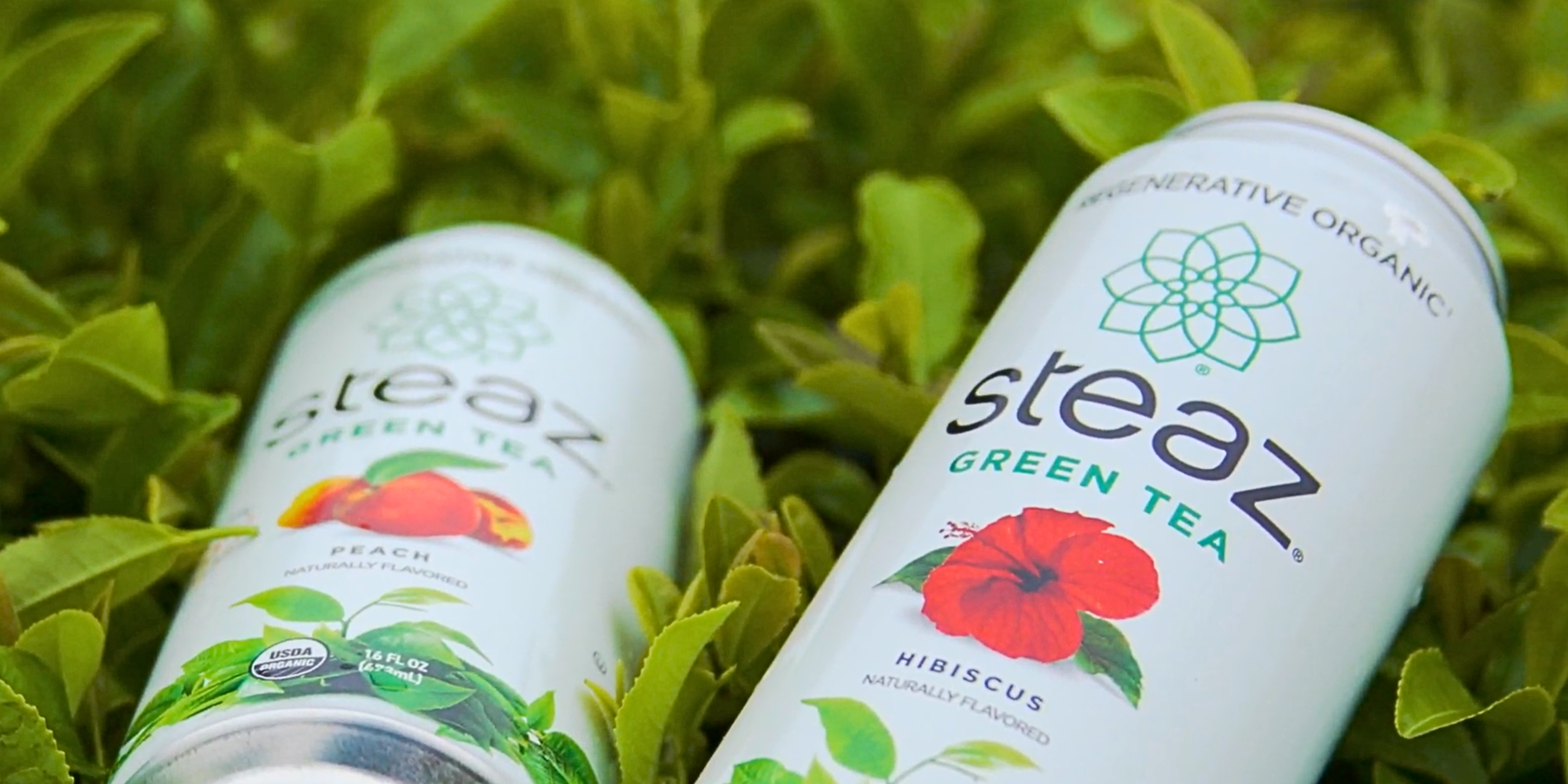 Steaz Tea