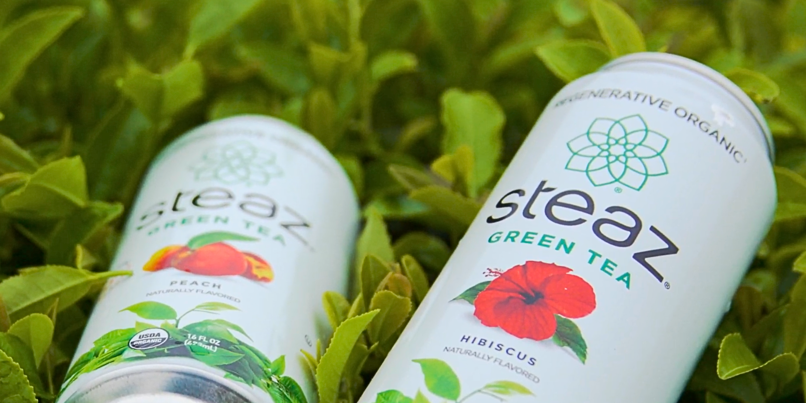 Steaz Tea